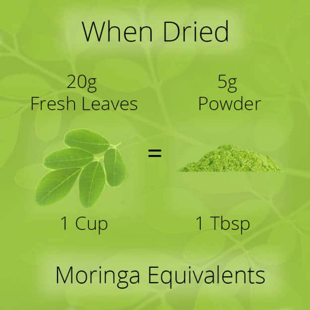 So Just How Nutritious is Moringa Oleifera?