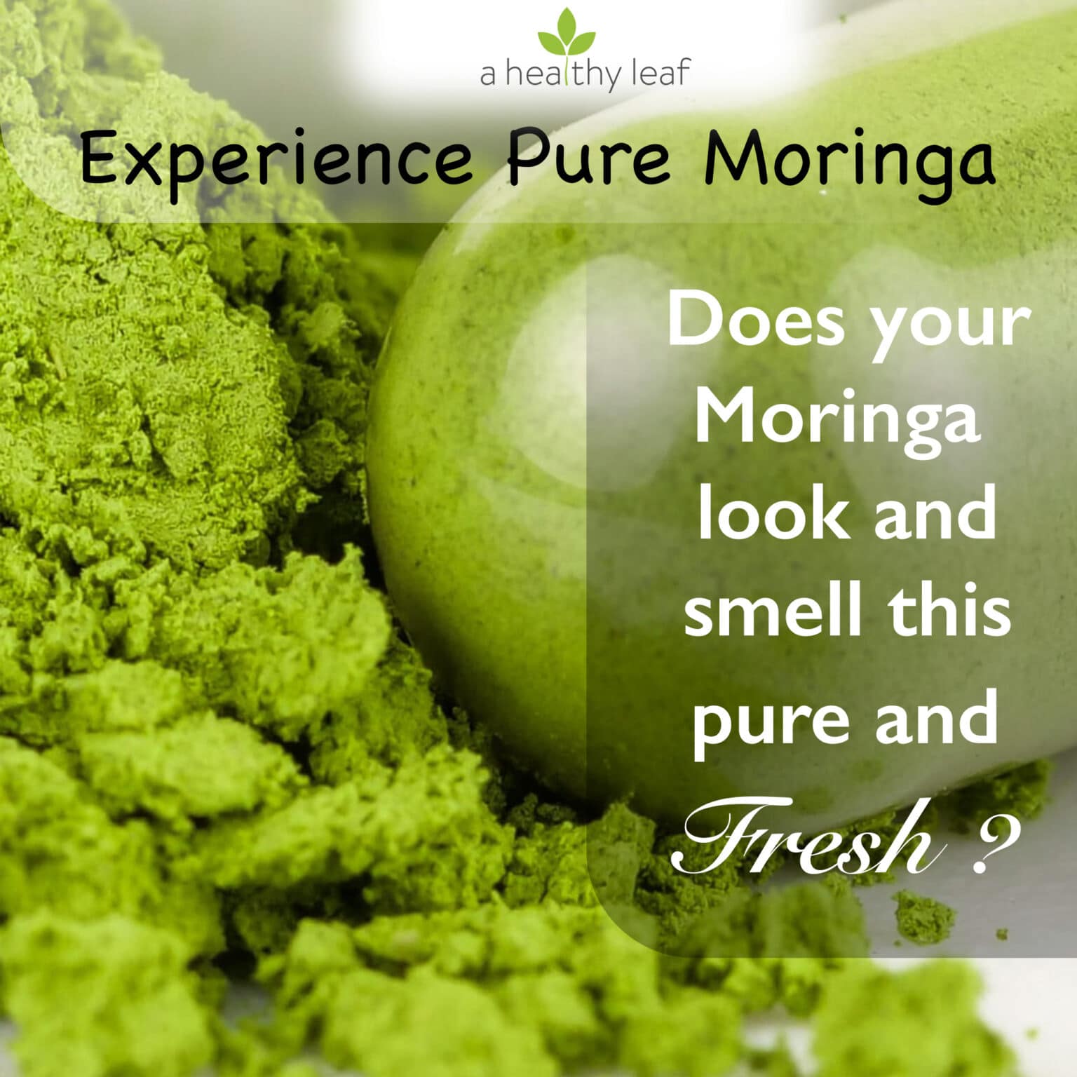 A Healthy Leaf Moringa Capsules | Pure & Green | From Organic Moringa