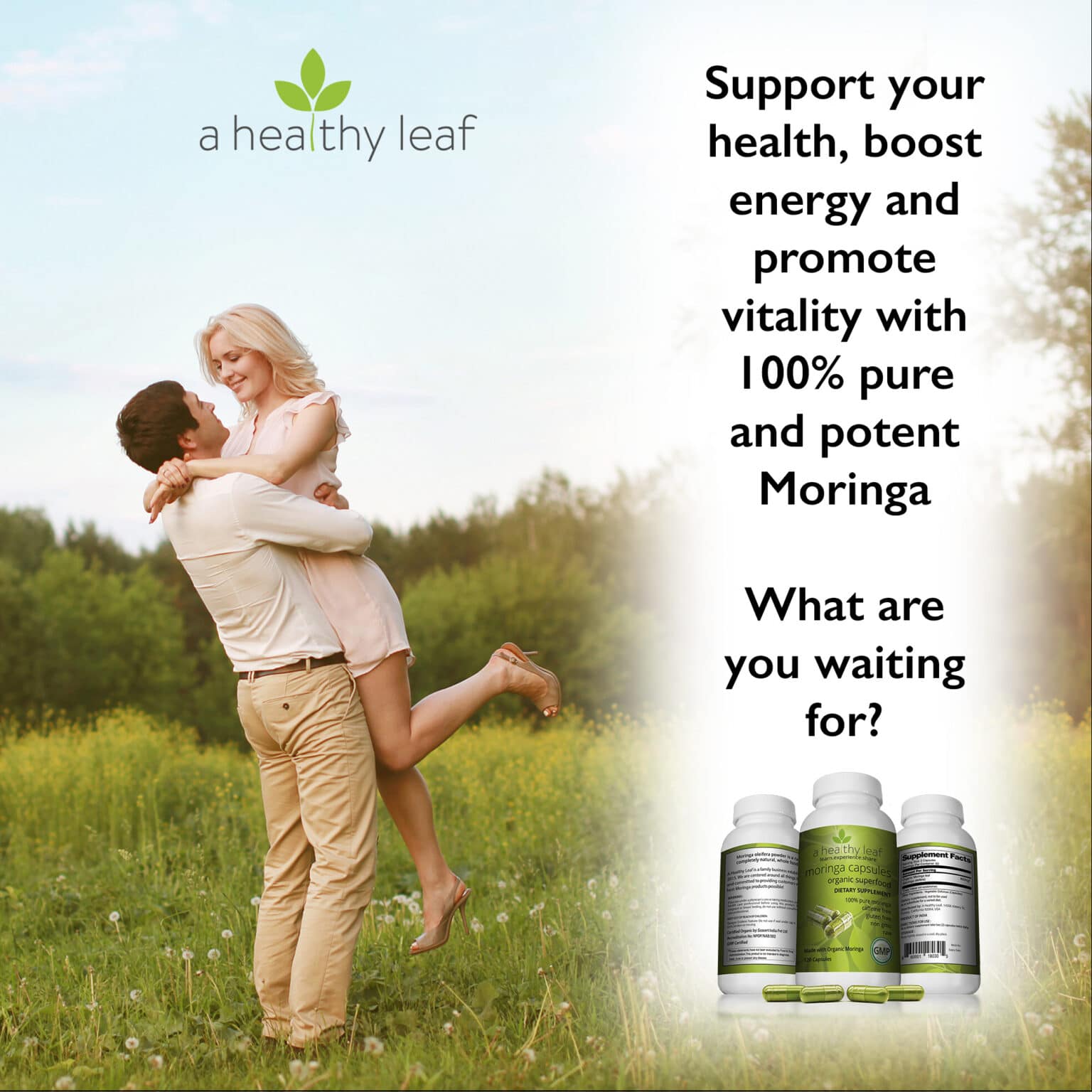 A Healthy Leaf Moringa Capsules | Pure & Green | From Organic Moringa